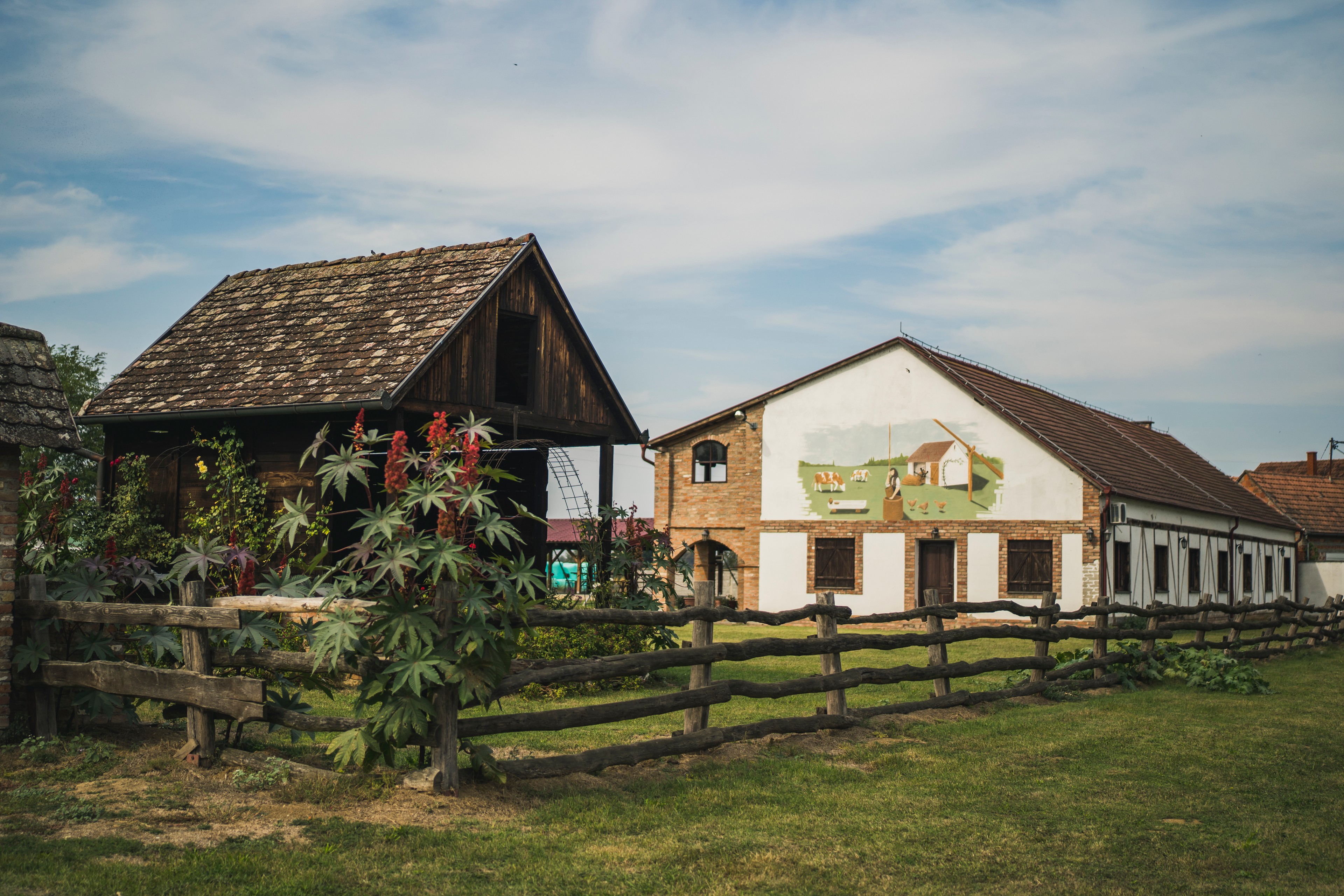 Babina Greda: the best-kept secret of Croatia's east